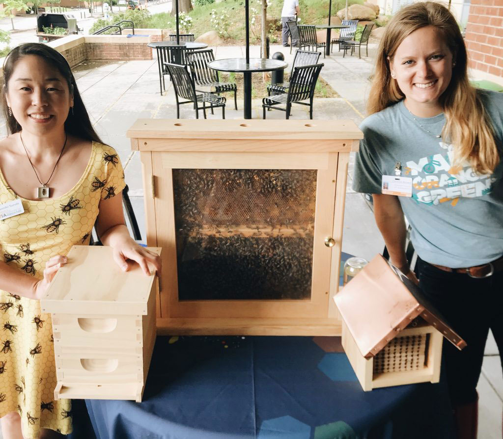 Bee Campus | Office of Sustainability